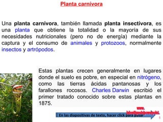 Plantas Carnivoras | PPS