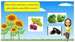 Partes Comestible De La Planta Para Niños De Preescolar, 55% OFF