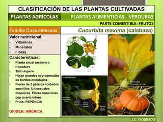 PLANTAS CULTIVADAS: ORIGEN Y CLASIFICACIÓN | PPTX