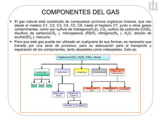 Plantas de gas | PPTX