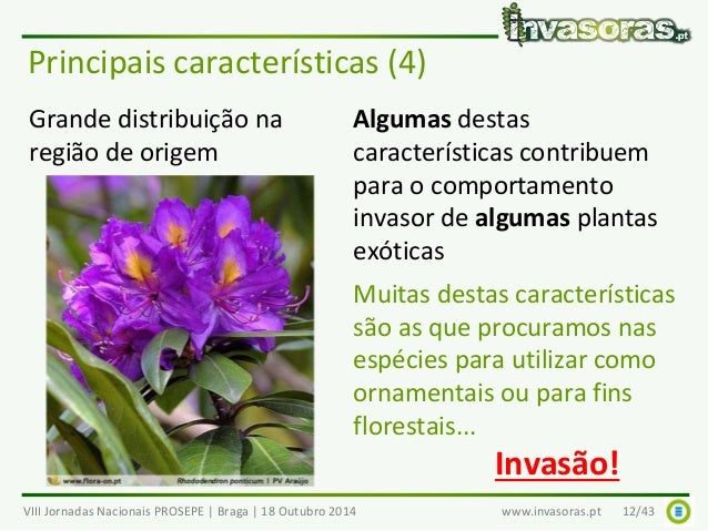 Plantas Invasoras - VIII Jornadas PROSEPE