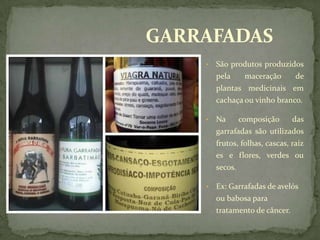 Plantas medicinais | PPTX