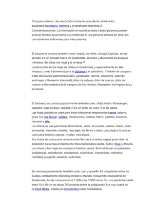 Plantas medicinales | DOCX