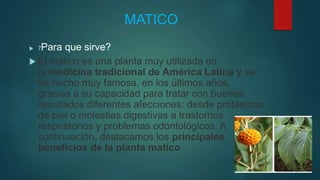 PLANTAS MEDICINALES.pptx