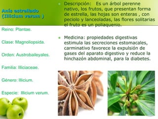 Plantas medicinales ciro | PPTX