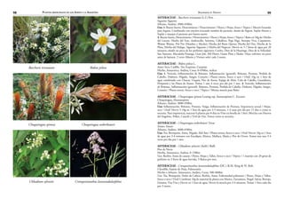 Plantas medicinales español secure | PDF