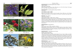 Plantas medicinales español secure | PDF