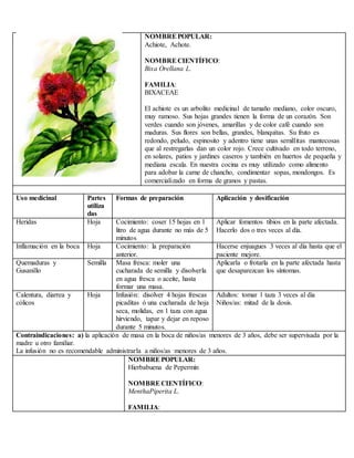 Plantas medicinales resumen | DOCX
