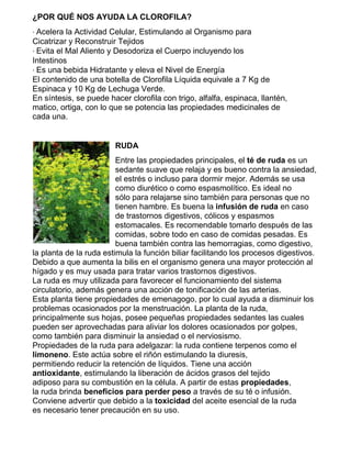 Plantas Medicinales y sus aportes a la salud.docx