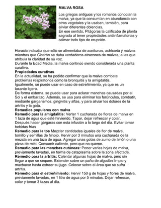 Plantas Medicinales y sus aportes a la salud.docx