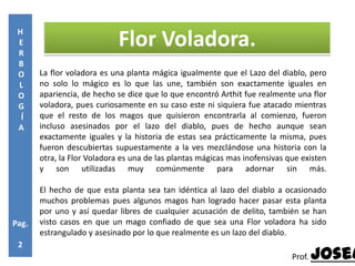 Plantas mágicas | PPTX