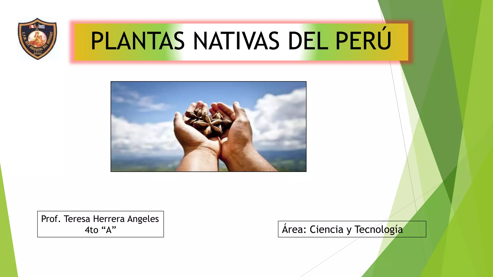 Plantas nativas del peru | PPTX