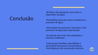 Estudando as plantas Sem Fruto: Características e reprodução | PPTX