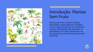 Estudando as plantas Sem Fruto: Características e reprodução | PPTX