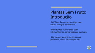Estudando as plantas Sem Fruto: Características e reprodução | PPTX