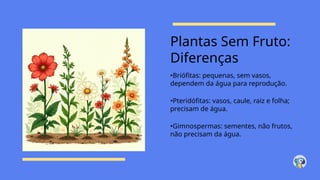Estudando as plantas Sem Fruto: Características e reprodução | PPTX