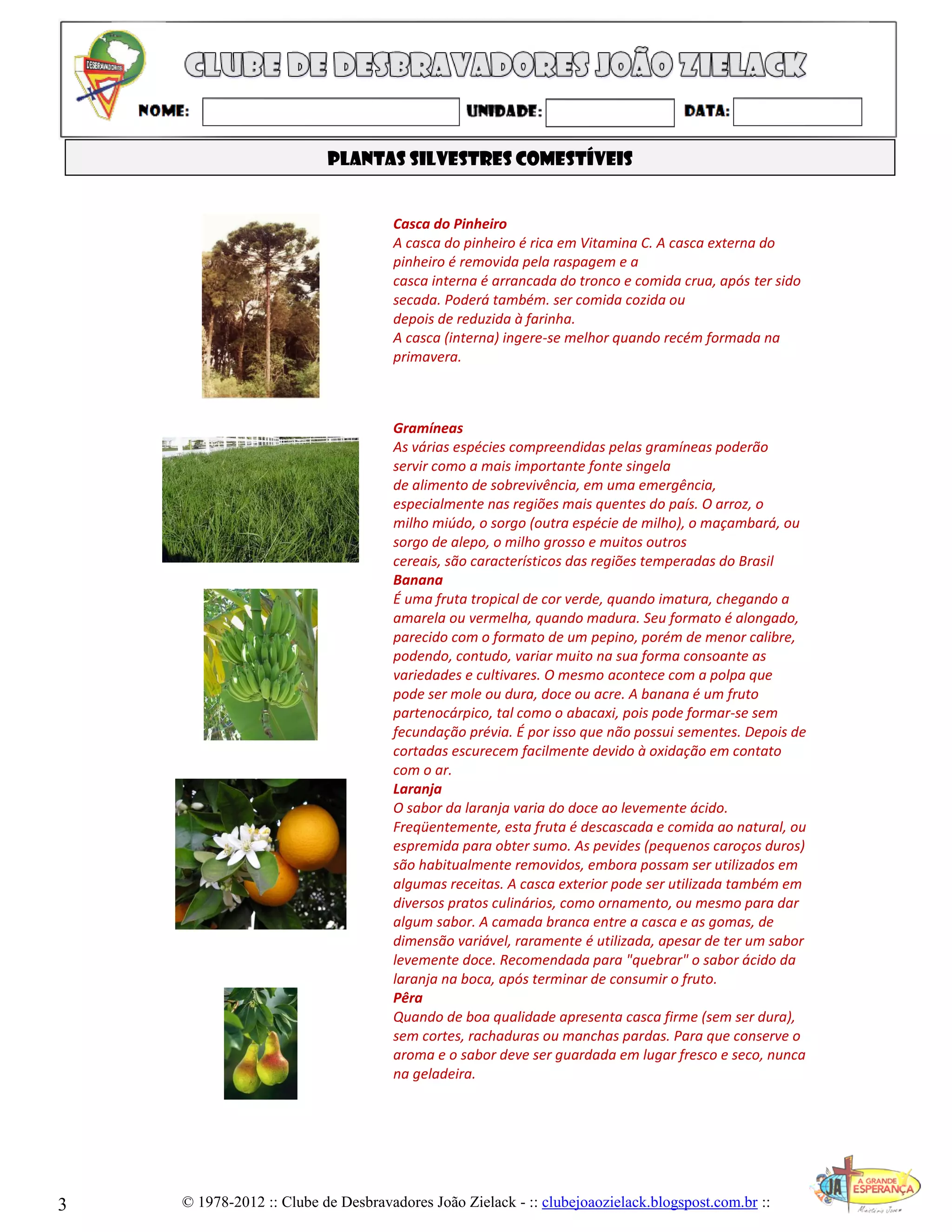 Plantas silvestres comestíveis | PDF | Agriculture | Industries