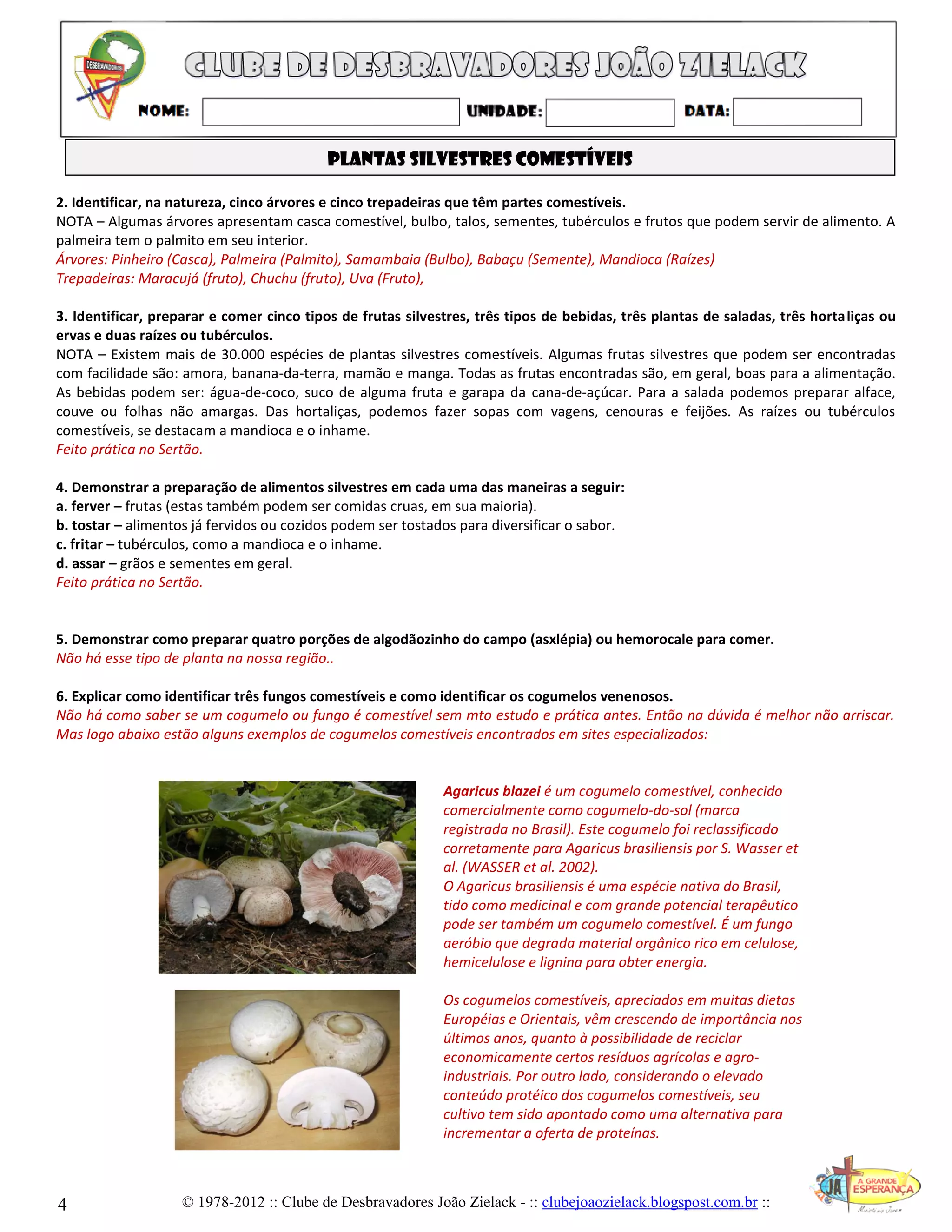 Plantas silvestres comestíveis | PDF | Agriculture | Industries