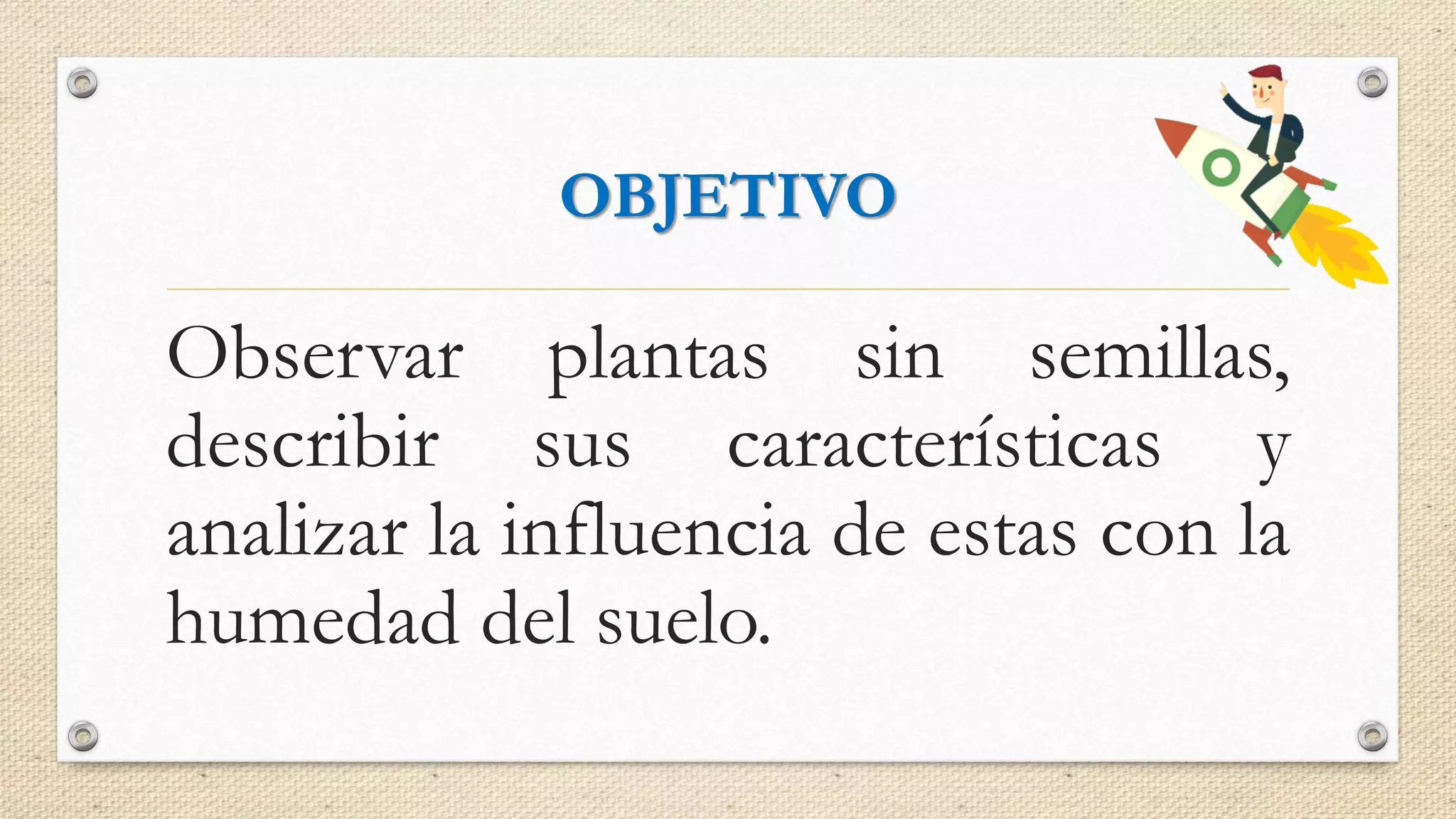 PLANTAS SIN SEMILLA.pptx