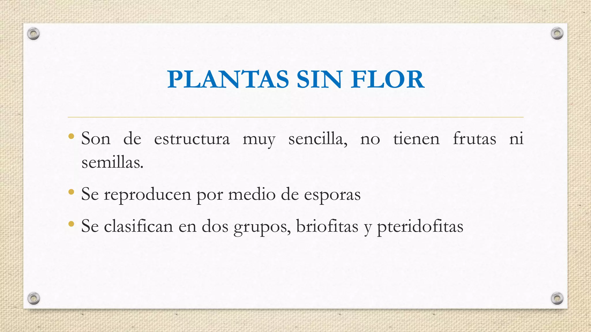 PLANTAS SIN SEMILLA.pptx