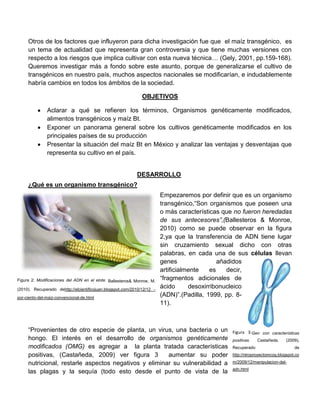 Plantas Transgénicas: Maíz Bt | DOCX