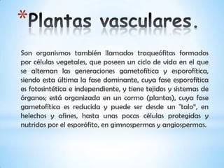Plantas vasculares | PPTX