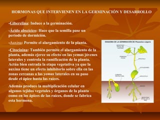 3º año Biología. Plantas y relación con el medio II | PPS