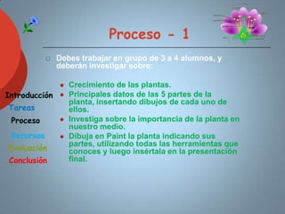 Plantas y sus partes | PPTX