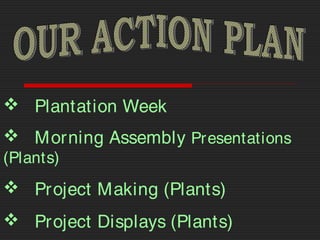 Plantation | PPT