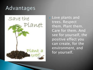 Plantation | PPTX