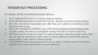 PLANTATION AND ADAPTATION OF ARECA NUT TREE.pdf