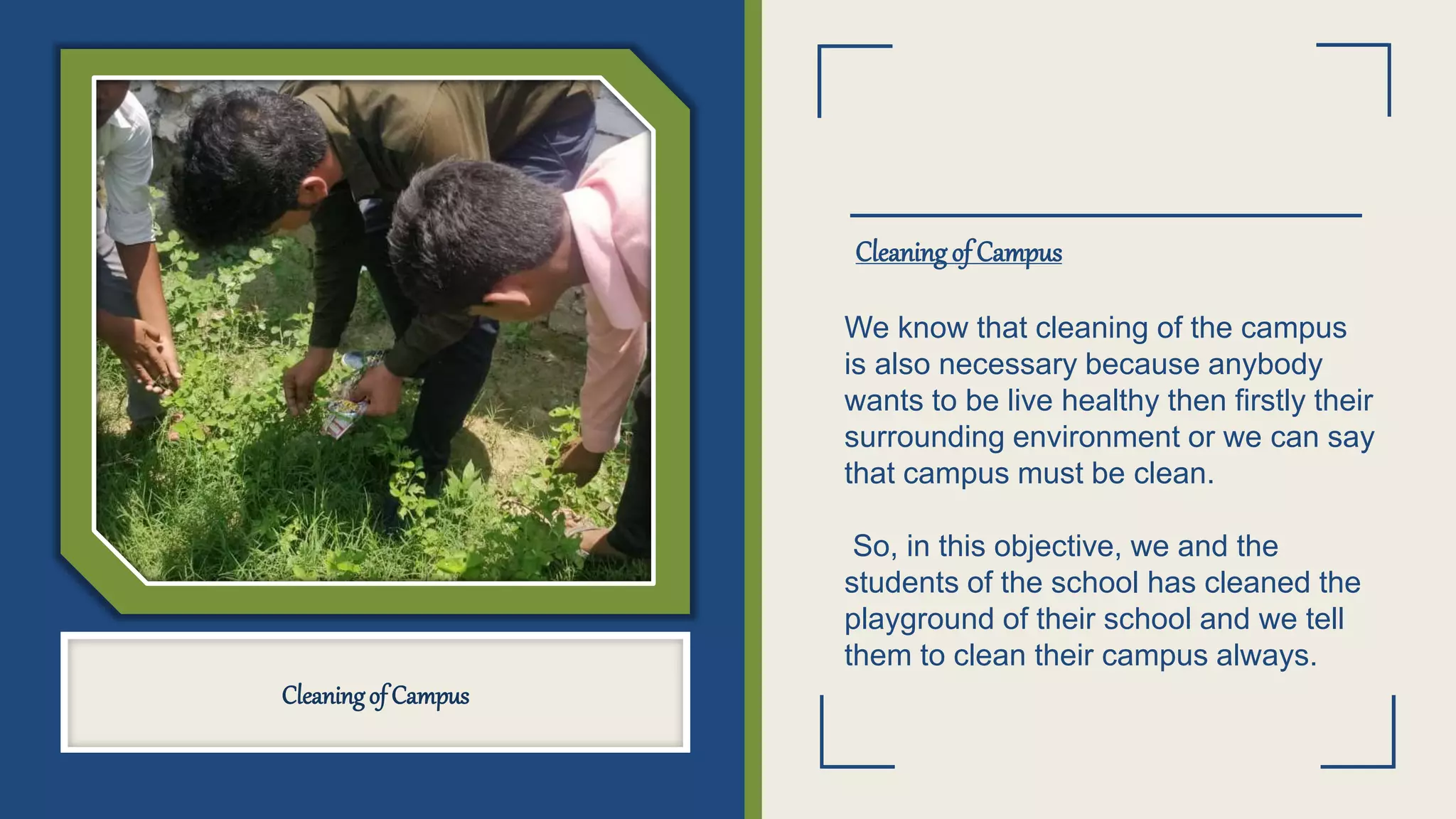 Plantation and its awareness | PPTX