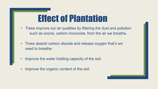 Plantation and its awareness | PPTX