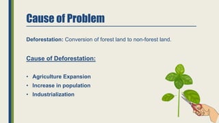 Plantation and its awareness | PPTX
