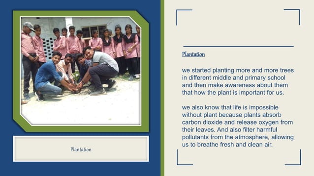 Plantation and its awareness | PPTX