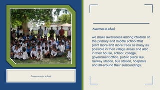 Plantation and its awareness | PPTX