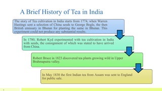 Plantation crops tea | PPT