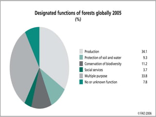 Plantation in Nepal & tropics | PPTX