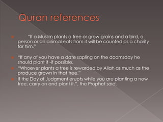 Importance of Plantation in I | PPTX