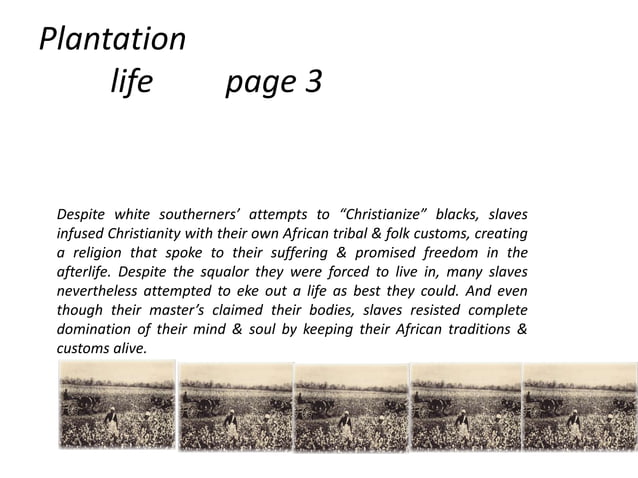 Plantation life | PPTX | Crime & Harmful Acts to Individuals, Society ...