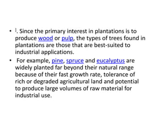 Plantations | PPT