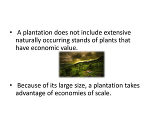 Plantations | PPT
