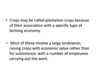 Plantations | PPT