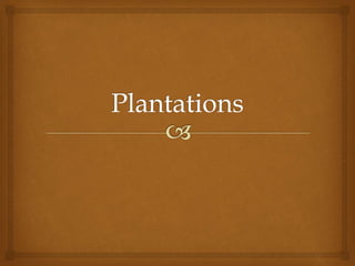Plantations | PPT