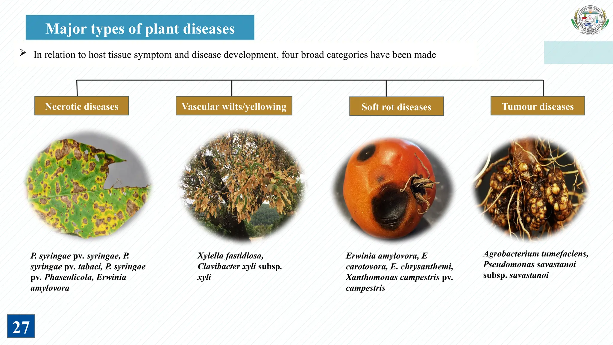 Infection Mechanism and Role of Virulence Factors by Plant Pathogenic ...