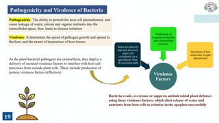 Infection Mechanism and Role of Virulence Factors by Plant Pathogenic ...