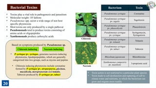Infection Mechanism and Role of Virulence Factors by Plant Pathogenic ...