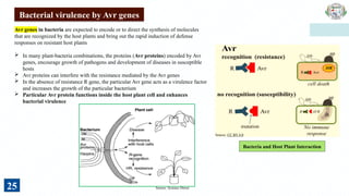 Infection Mechanism and Role of Virulence Factors by Plant Pathogenic ...