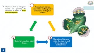 Infection Mechanism and Role of Virulence Factors by Plant Pathogenic ...