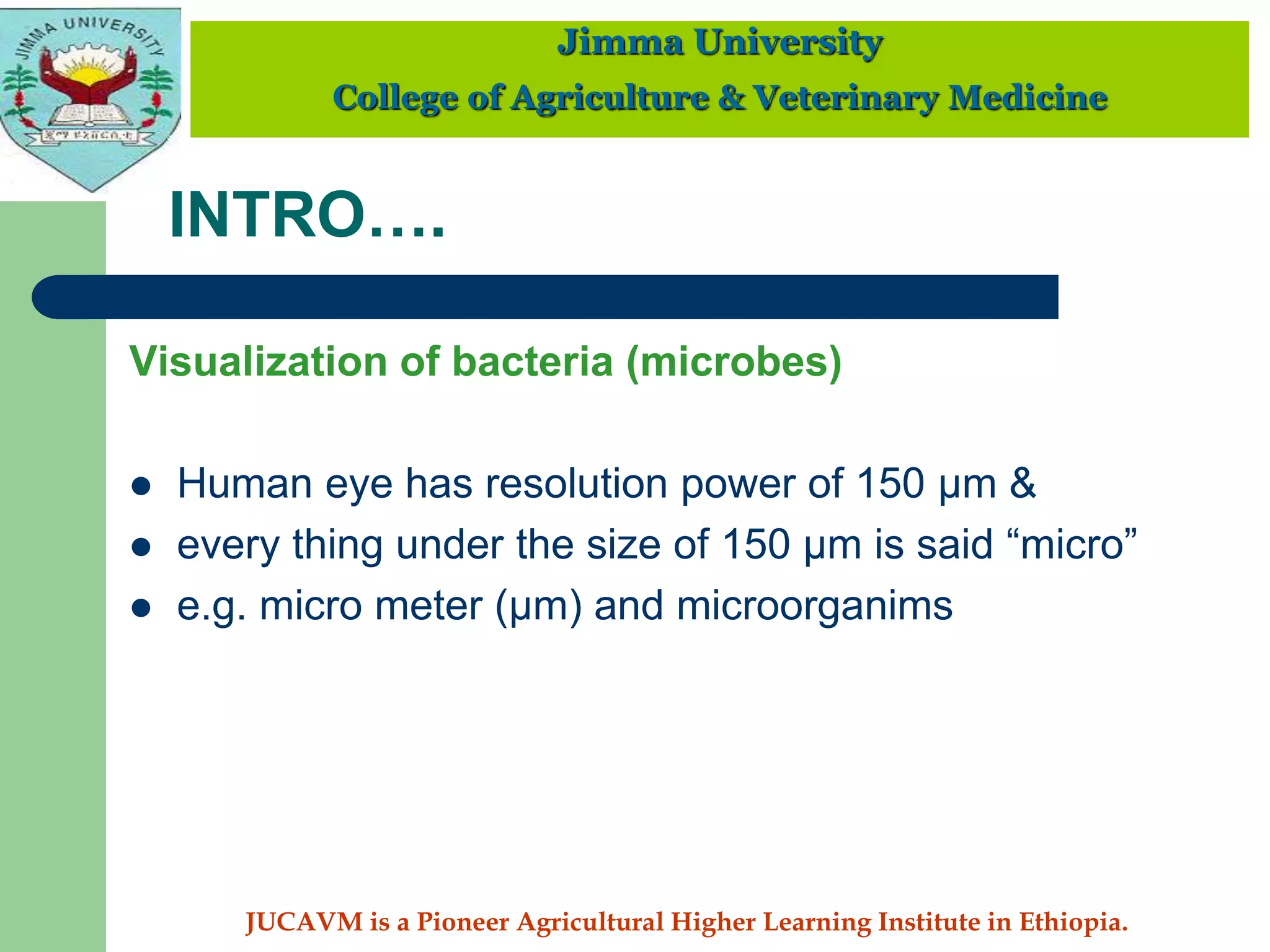 Plant Bacteriology.ppt